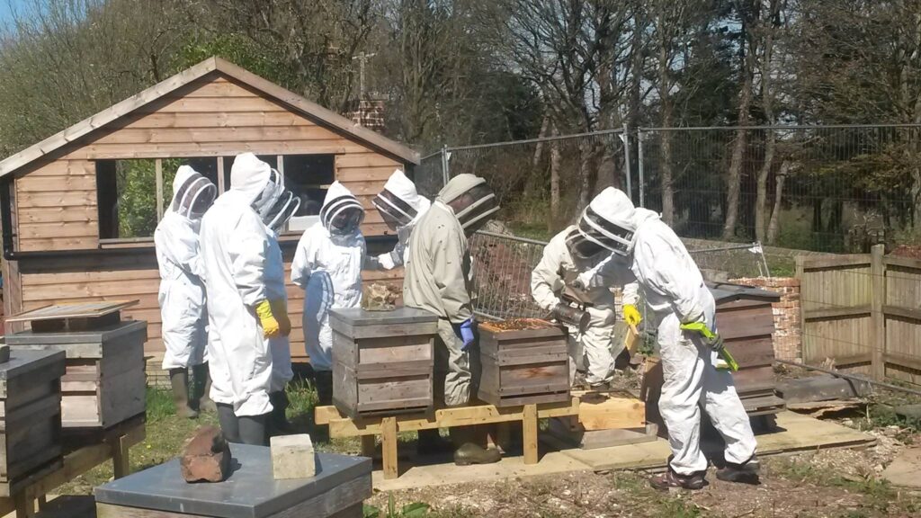 Membership Barnsley Beekeepers