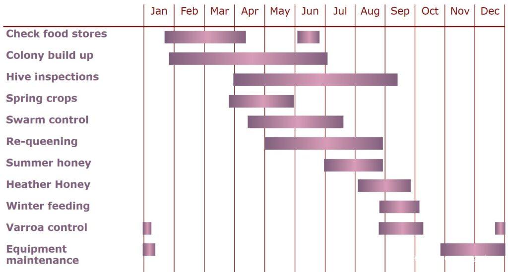 Beekeeping Year - Barnsley Beekeepers